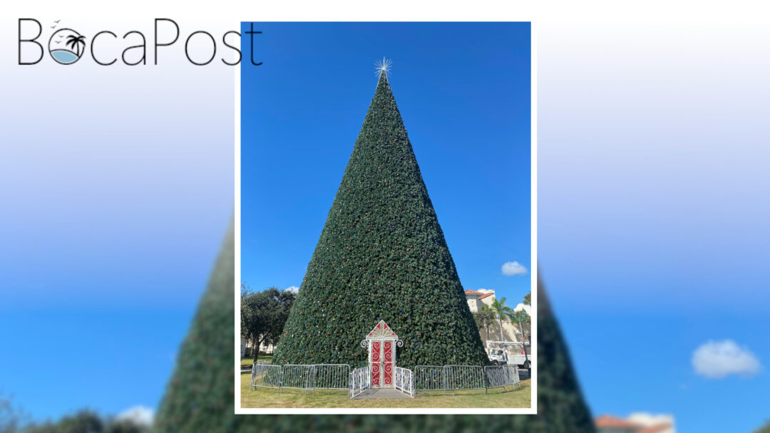 Delray Beach Sets Full December Lineup With Tree Lighting, Parade, And ...