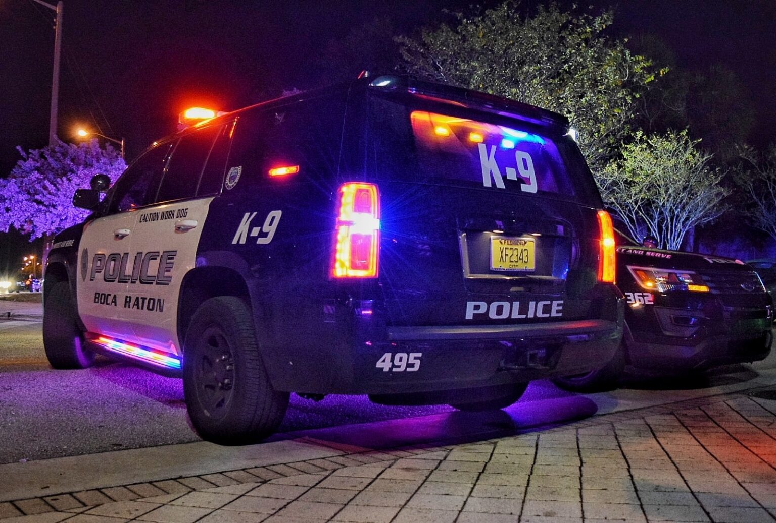 Teen Arrested After Food Court Scare At Town Center Mall, Police Say ...